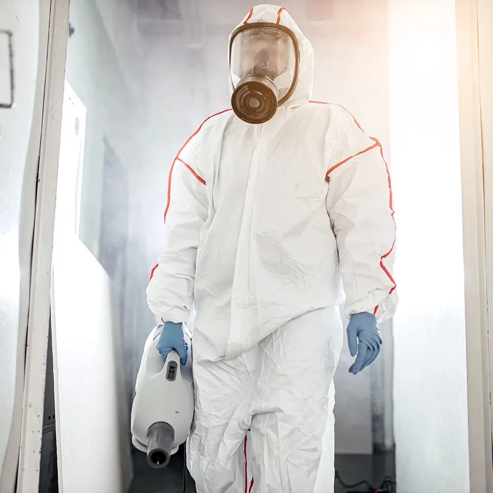 About Us | Mold Removal NYC | Ace Mold
